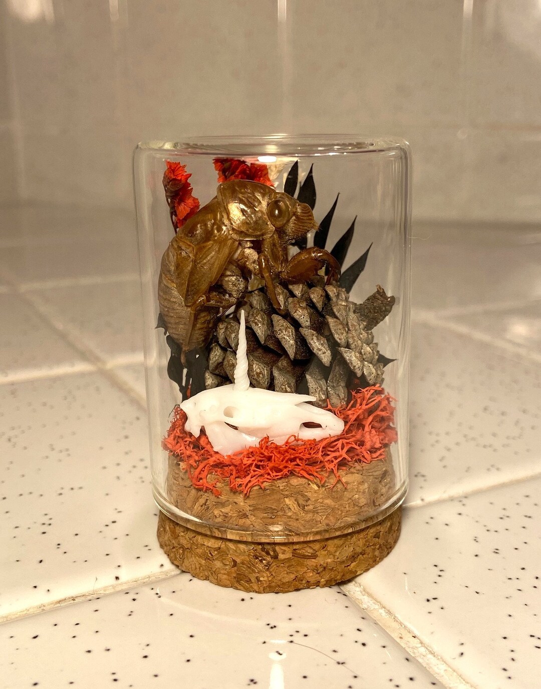 Cicada Skin Pinecone & Unicorn Skull Oddity Jar Insect Taxidermy ...