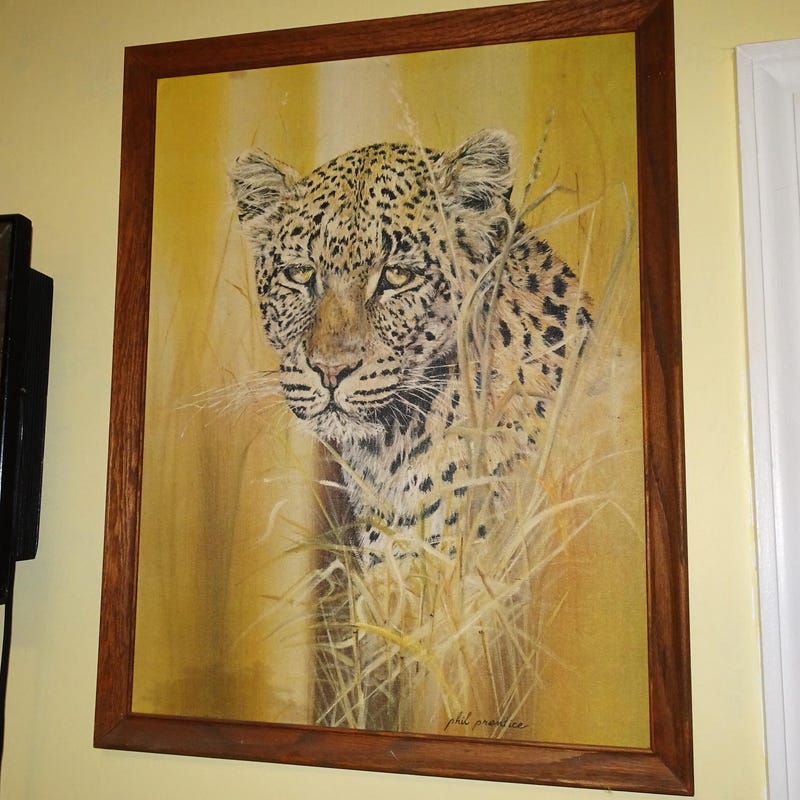 serpentsdelight - Etsy