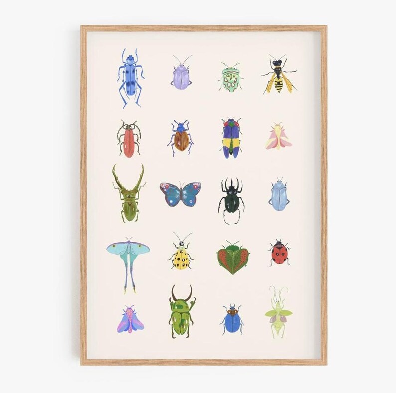 Insect Poster Printable Kids Educational Bug Wall Art - Etsy