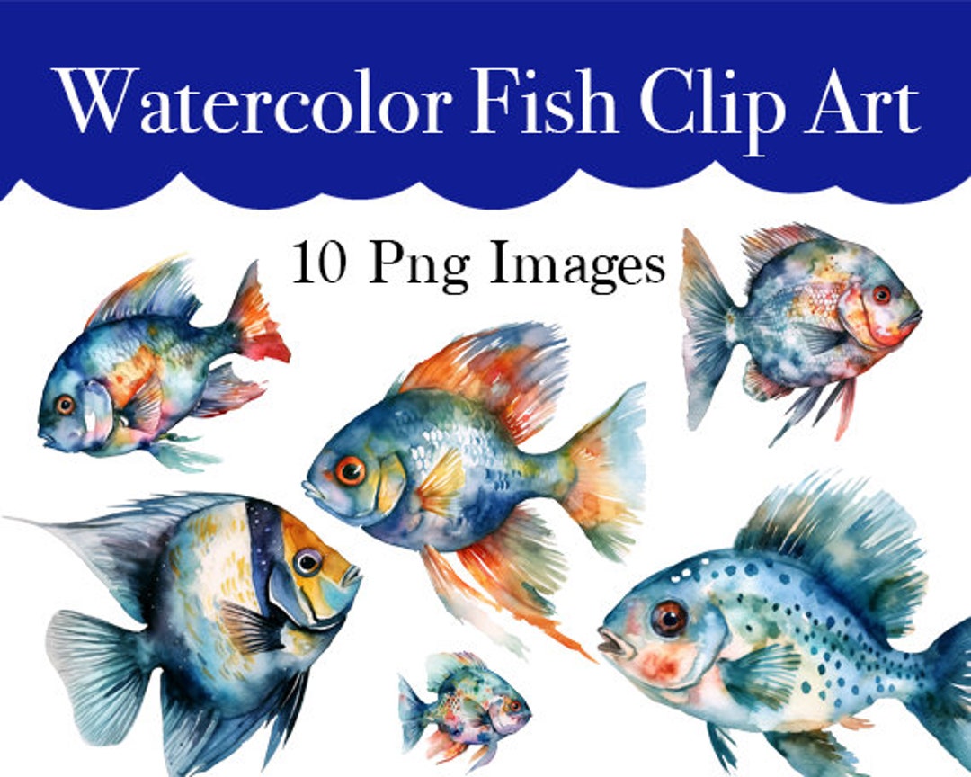 Watercolor Fish Clip Art Images for Download - Etsy