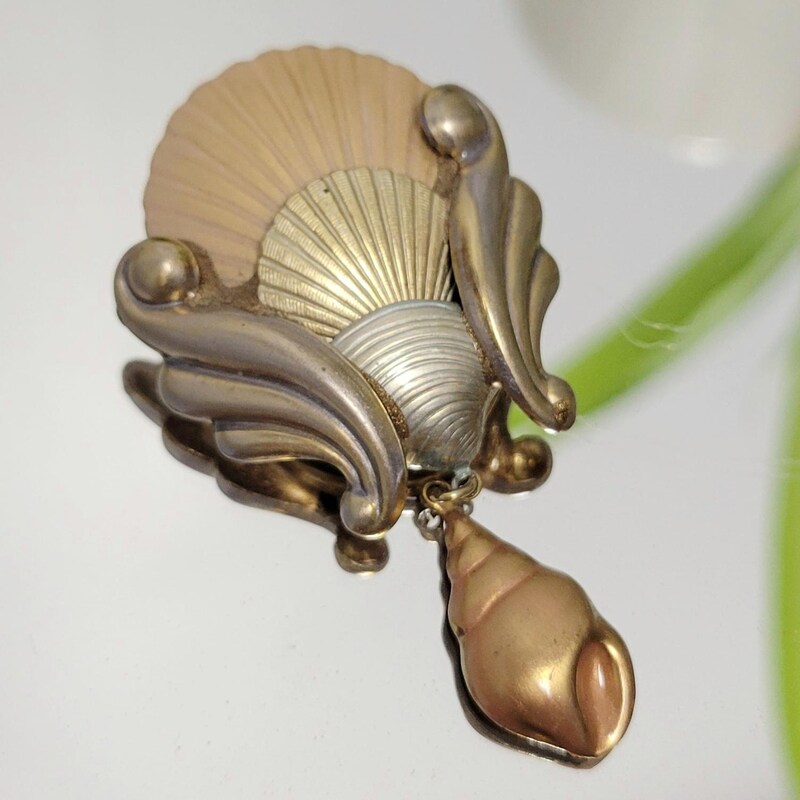 Seashell Brooch - Etsy