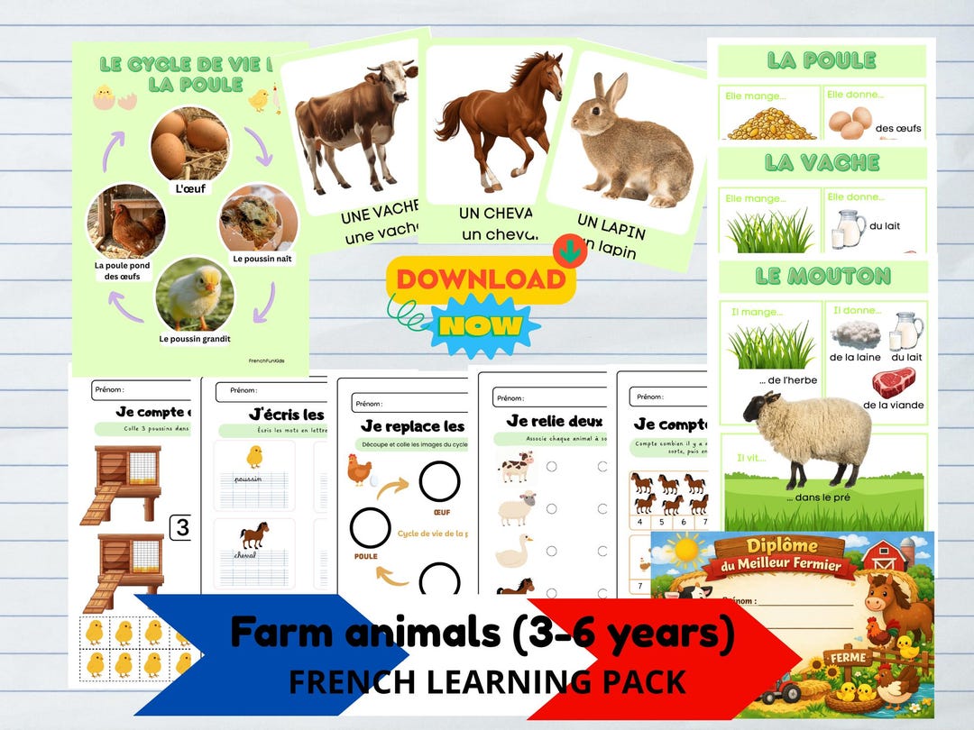 French Farm Animals Activity Pack Kindergarten Printable - Etsy