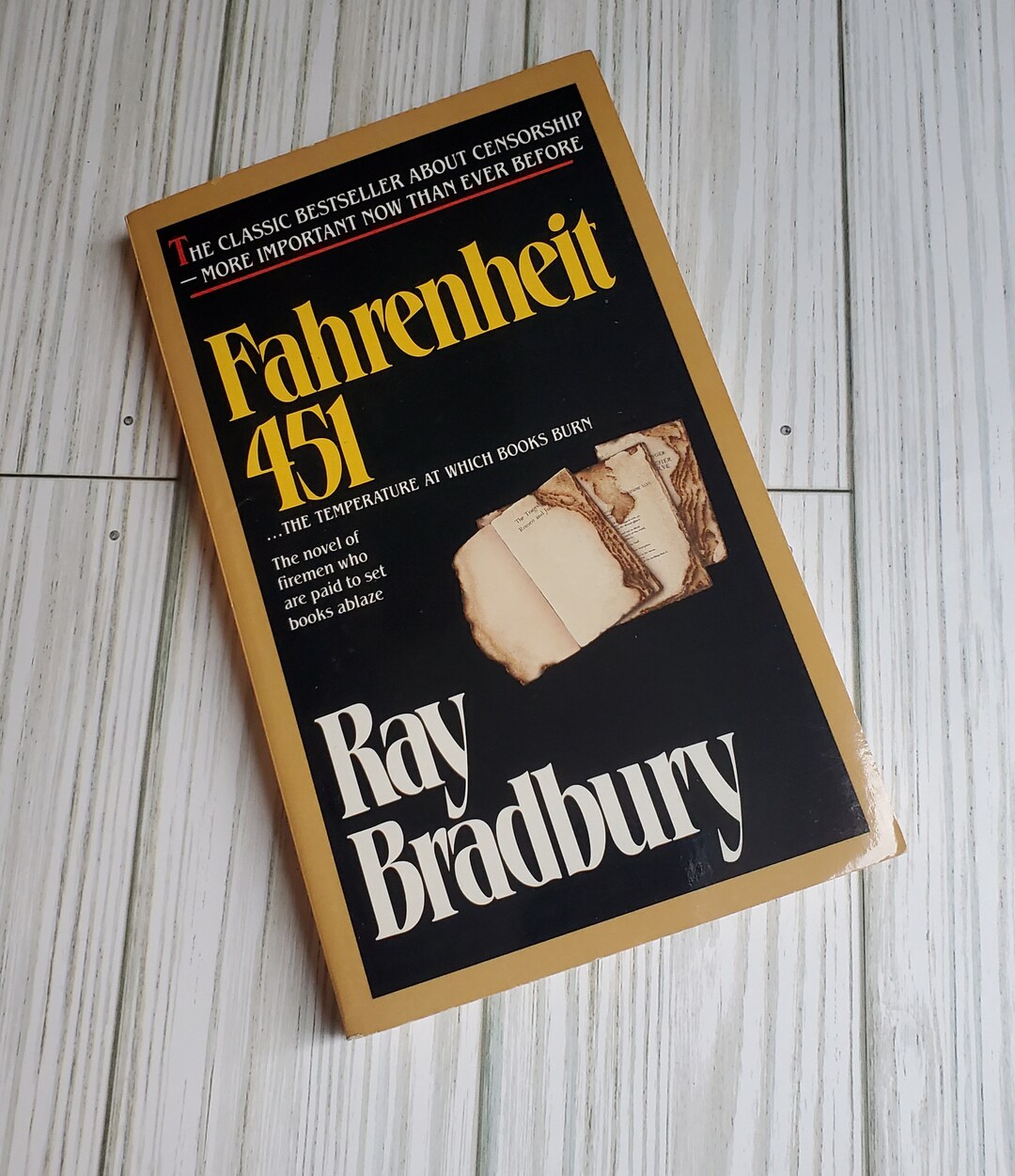 Fahrenheit 451 by Ray Bradbury - Etsy