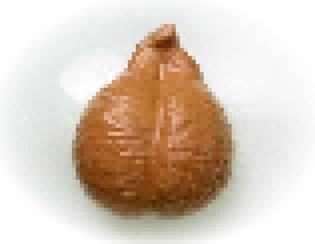 Realistic Fake Hairy Latex Testicles Balls Bollocks Nuts Scrotum Ball ...