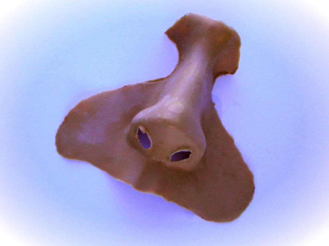 Realistic Latex Nose - Etsy