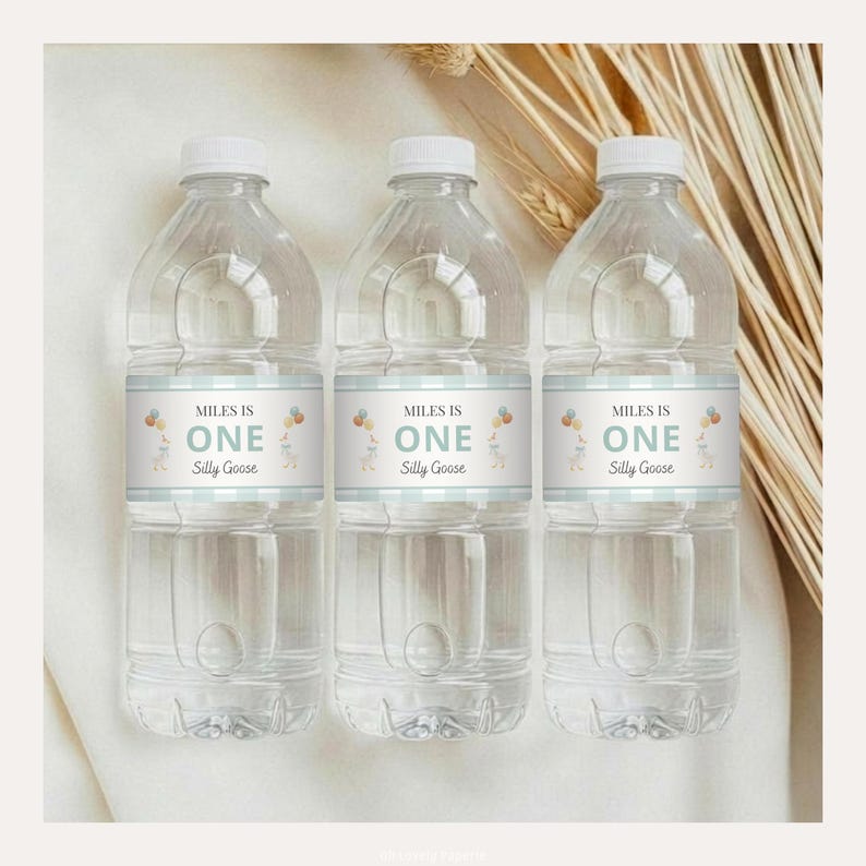 One Silly Goose Water Bottle Labels, Goose 1st Birthday Party Favors ...