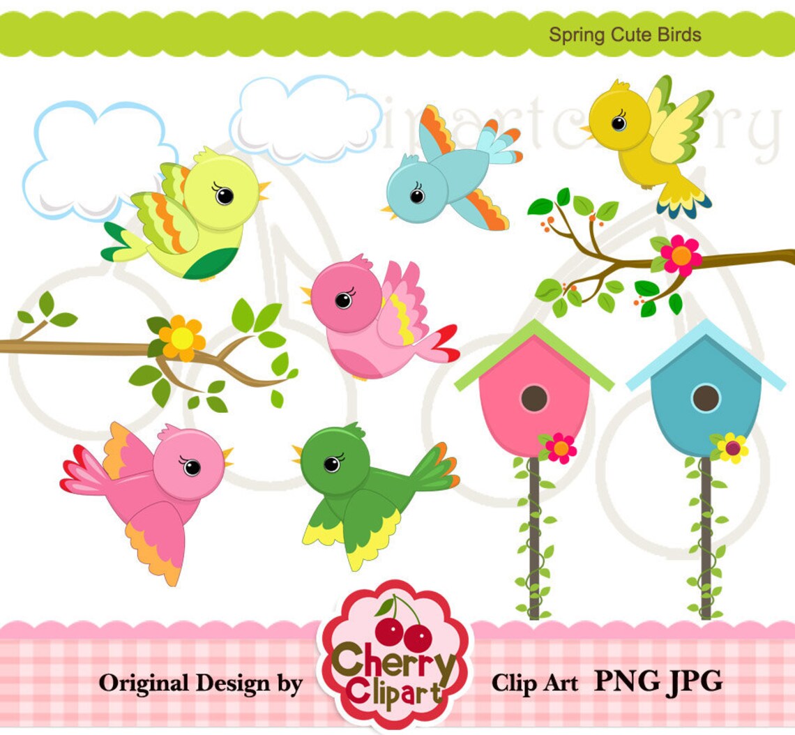 Spring Cute Birds Digital Clipart Set for personal and - Etsy