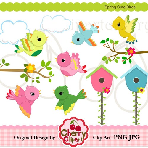 Cute Tropical Birds Clipart Set With Watercolor Illustration | Etsy