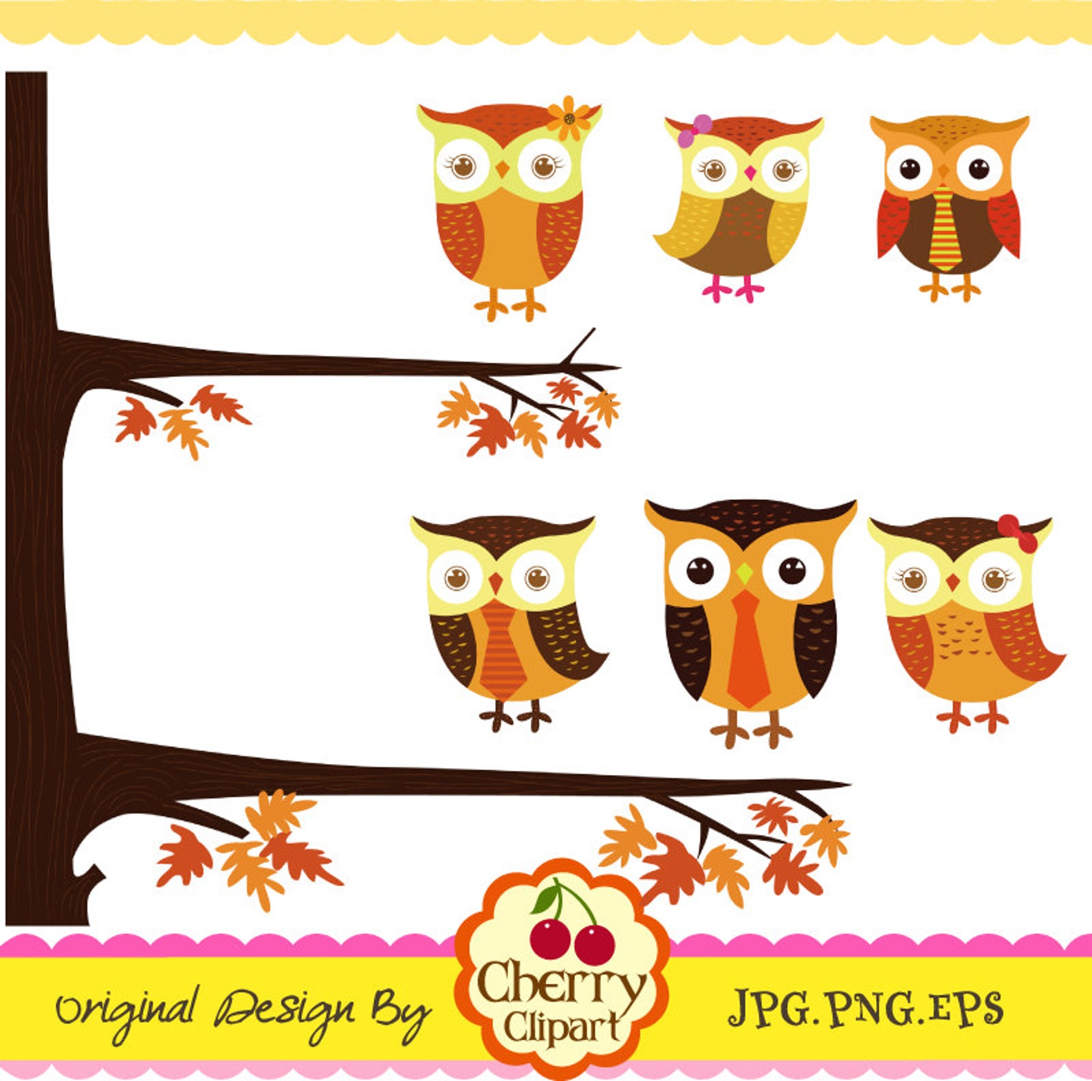 Autumn Cute Owlsfamily Owls Digital Clipart Set NO.AN029 - Etsy