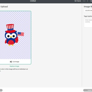 4th of July Owl Svg,independence Day Owl Svg Silhouette & Cricut Cut ...