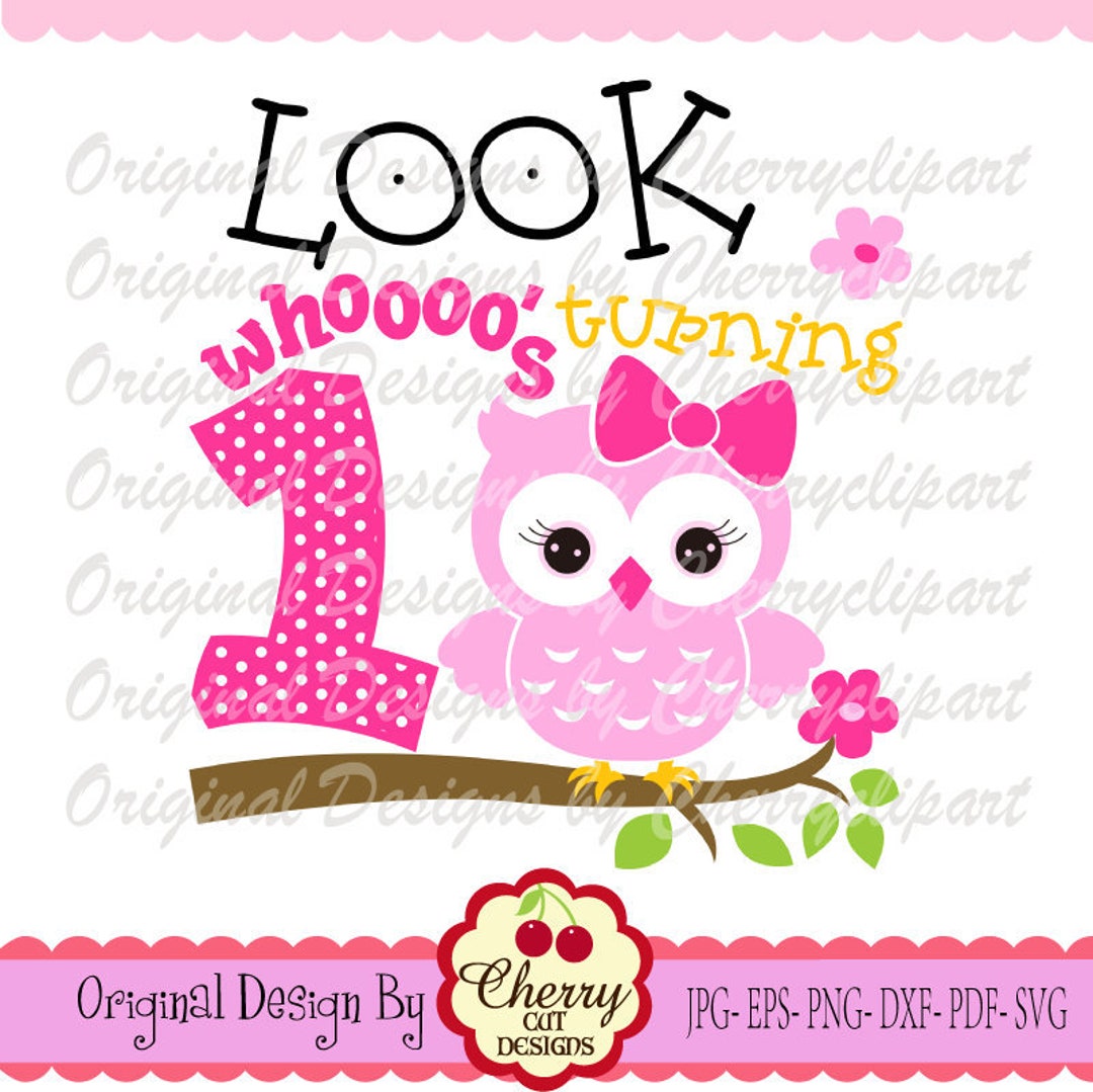 Look Whoooo's Turning 1 Svg Dxf, My 1st Birthday Owl SVG, Birthday ...