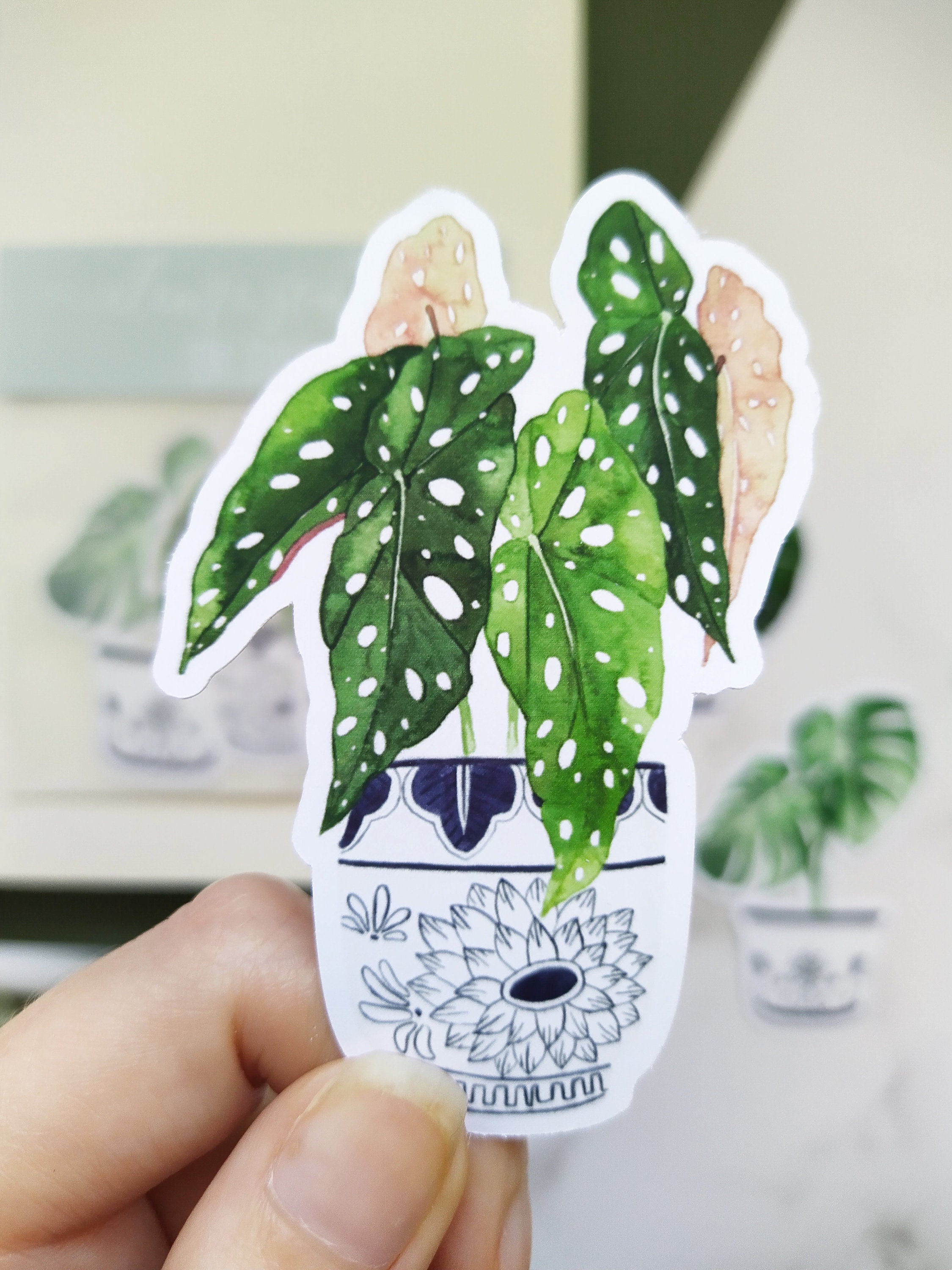 Houseplant Sticker Pack Monstera Philodendron Begonia | Etsy