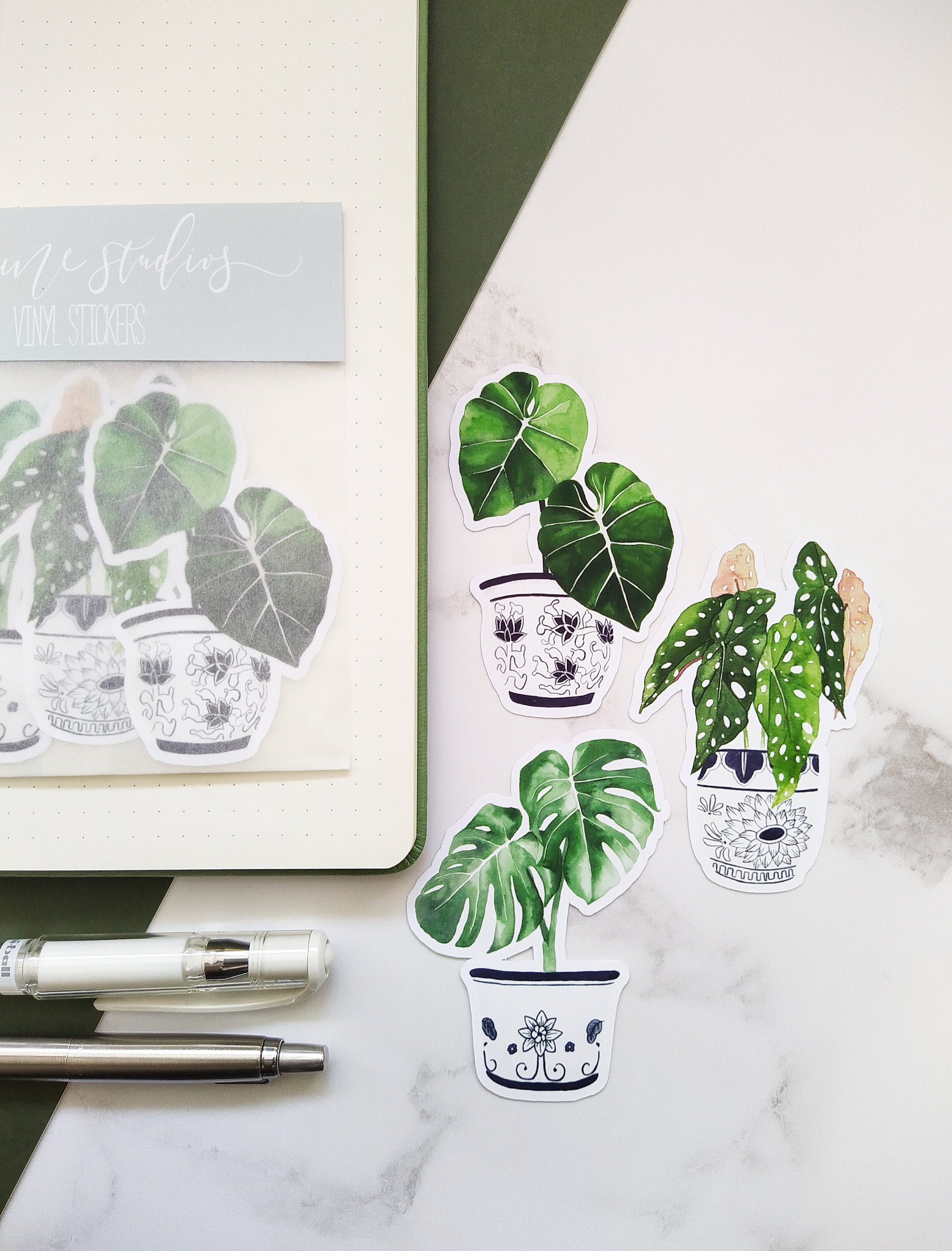 Houseplant Sticker Pack Monstera Philodendron Begonia | Etsy