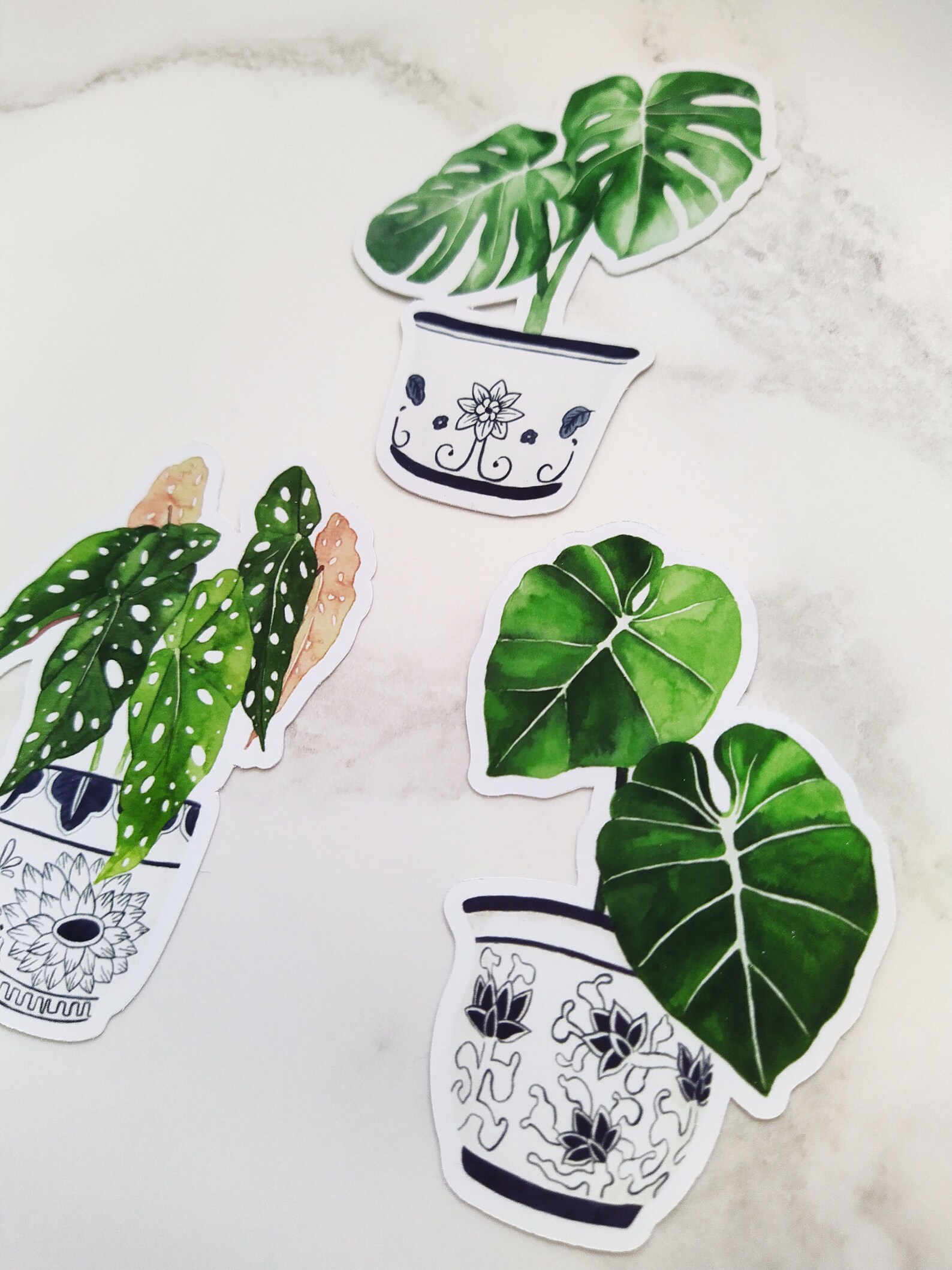 Houseplant Sticker Pack Monstera Philodendron Begonia | Etsy