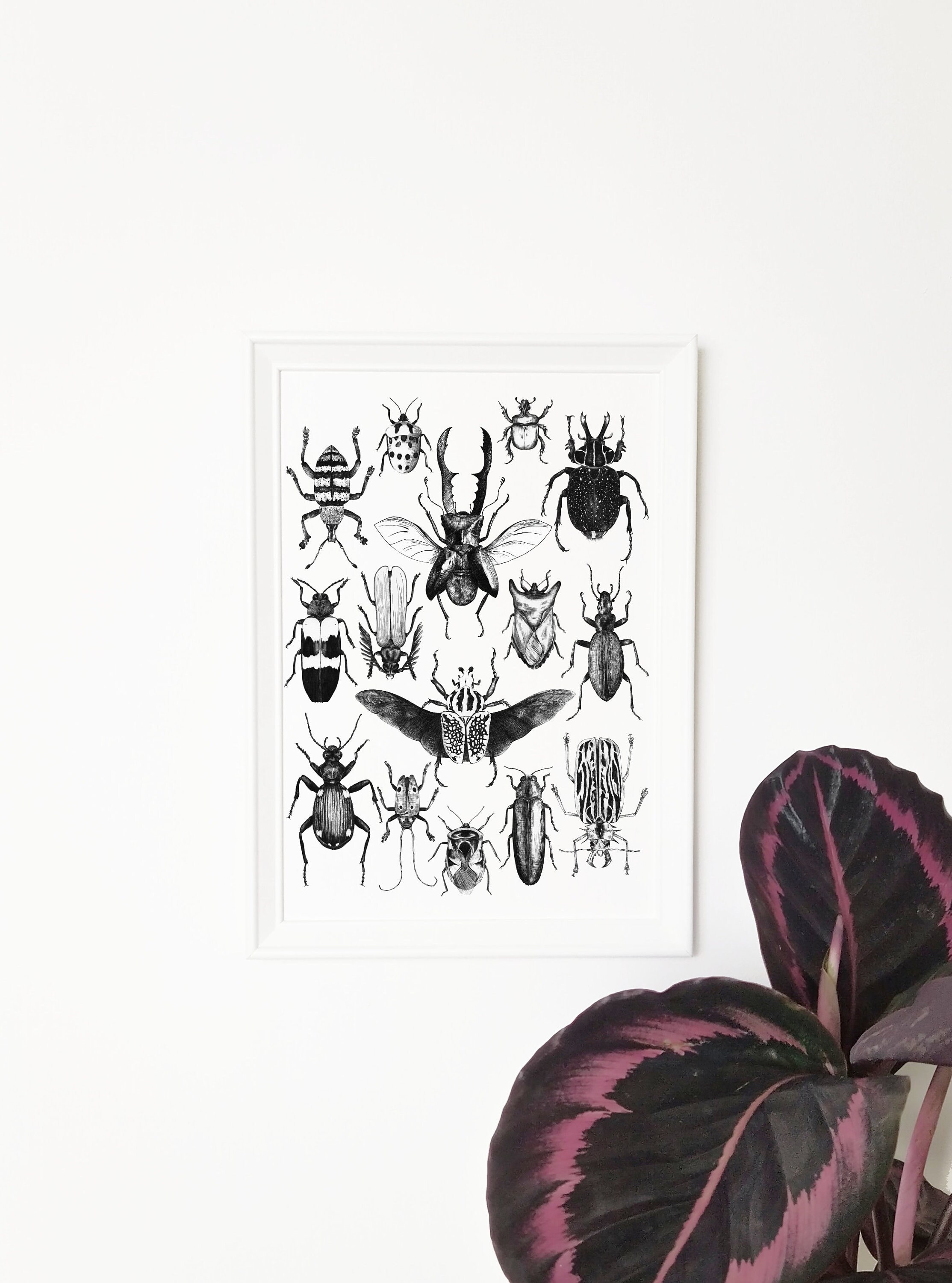 Beetle Art Print Hand Drawn Insect Bug Print Gothic Black - Etsy UK
