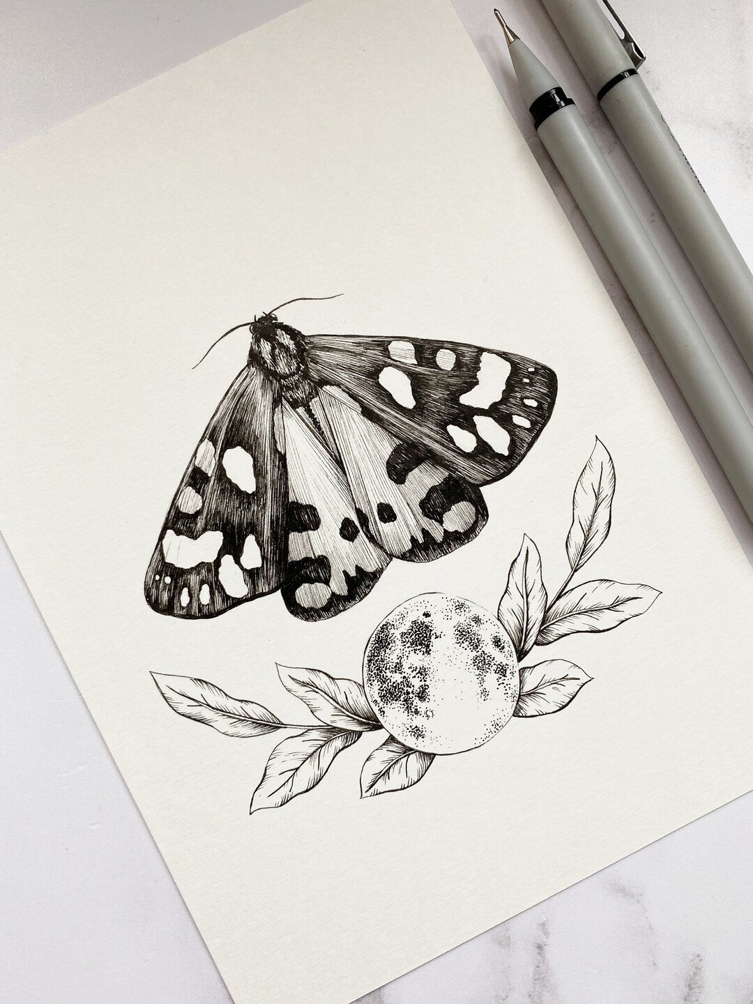 Original Drawing Scarlet Tiger Moth With Moon and Foliage, Hand Drawn ...