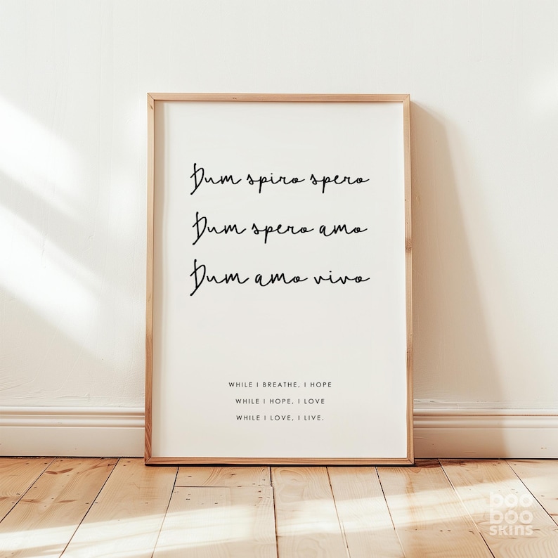 Dum Spiro Spero Print | Scandi Print | While I Breathe I Hope | Latin ...