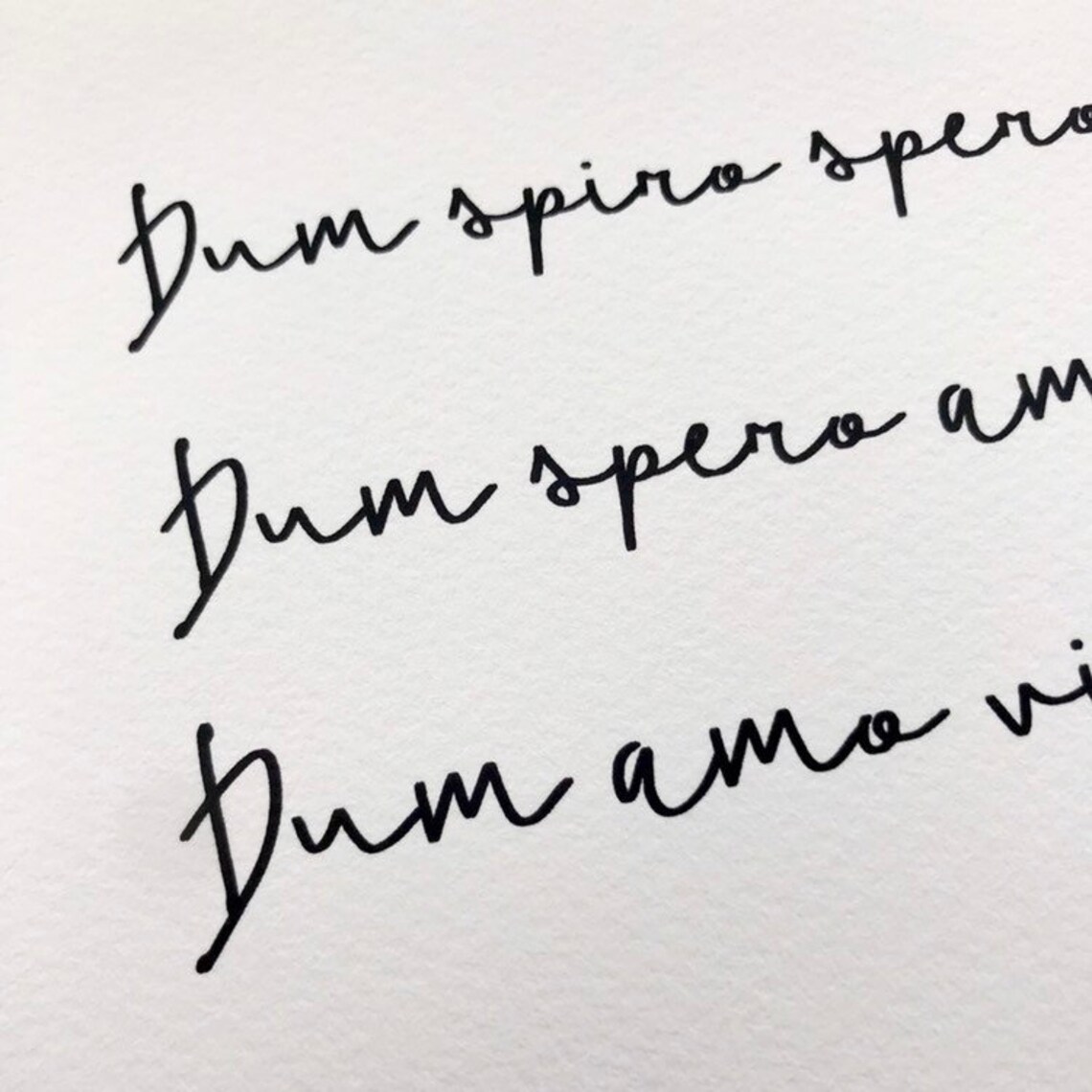 Dum Spiro Spero Print Scandi Print While I Breathe I Hope - Etsy UK