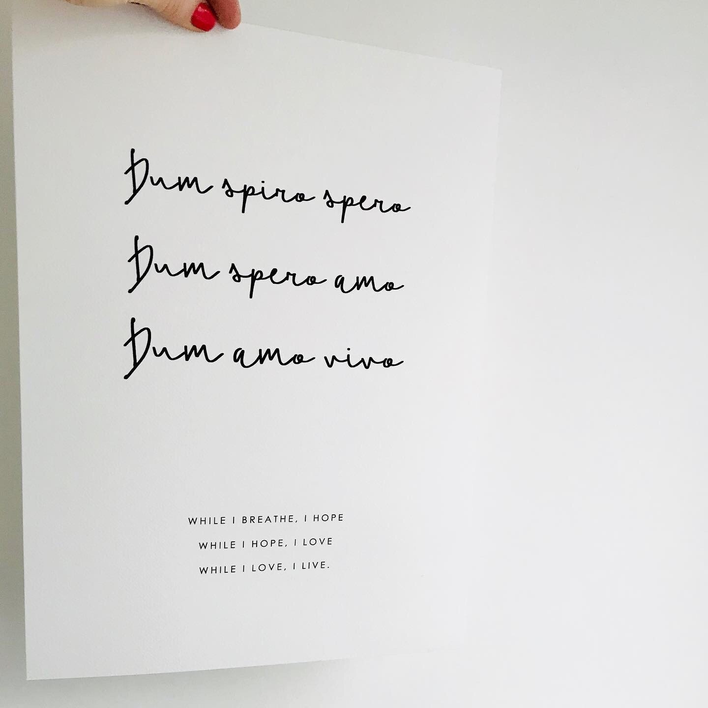Dum Spiro Spero Print Scandi Print While I Breathe I Hope | Etsy