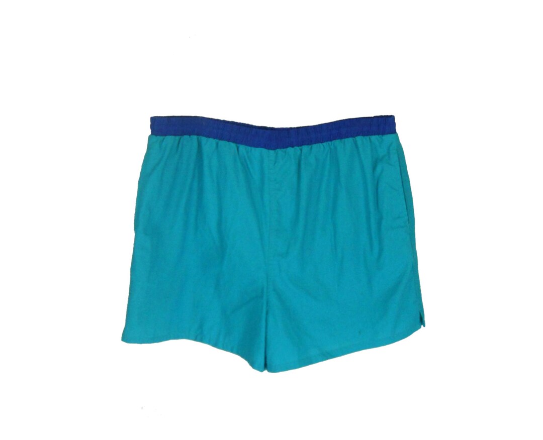 Vintage 90s Teal and Blue Swim Trunks - Mid-thigh Length (men's Size XL ...