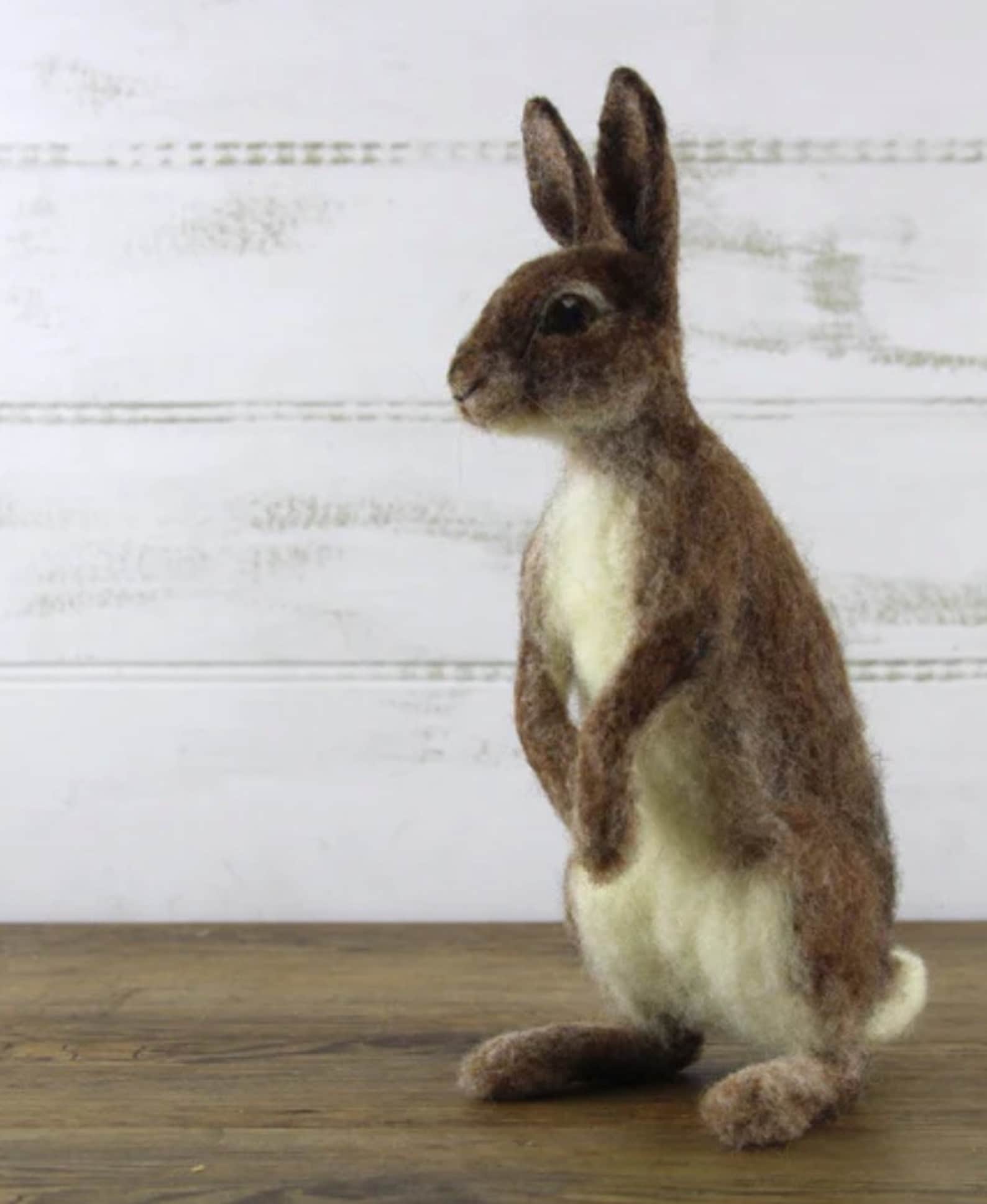 Romeo the Rabbit Needle Felting Kit FREE SHIPING - Etsy