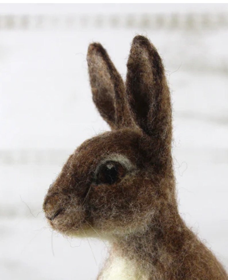 Romeo the Rabbit Needle Felting Kit FREE SHIPING - Etsy