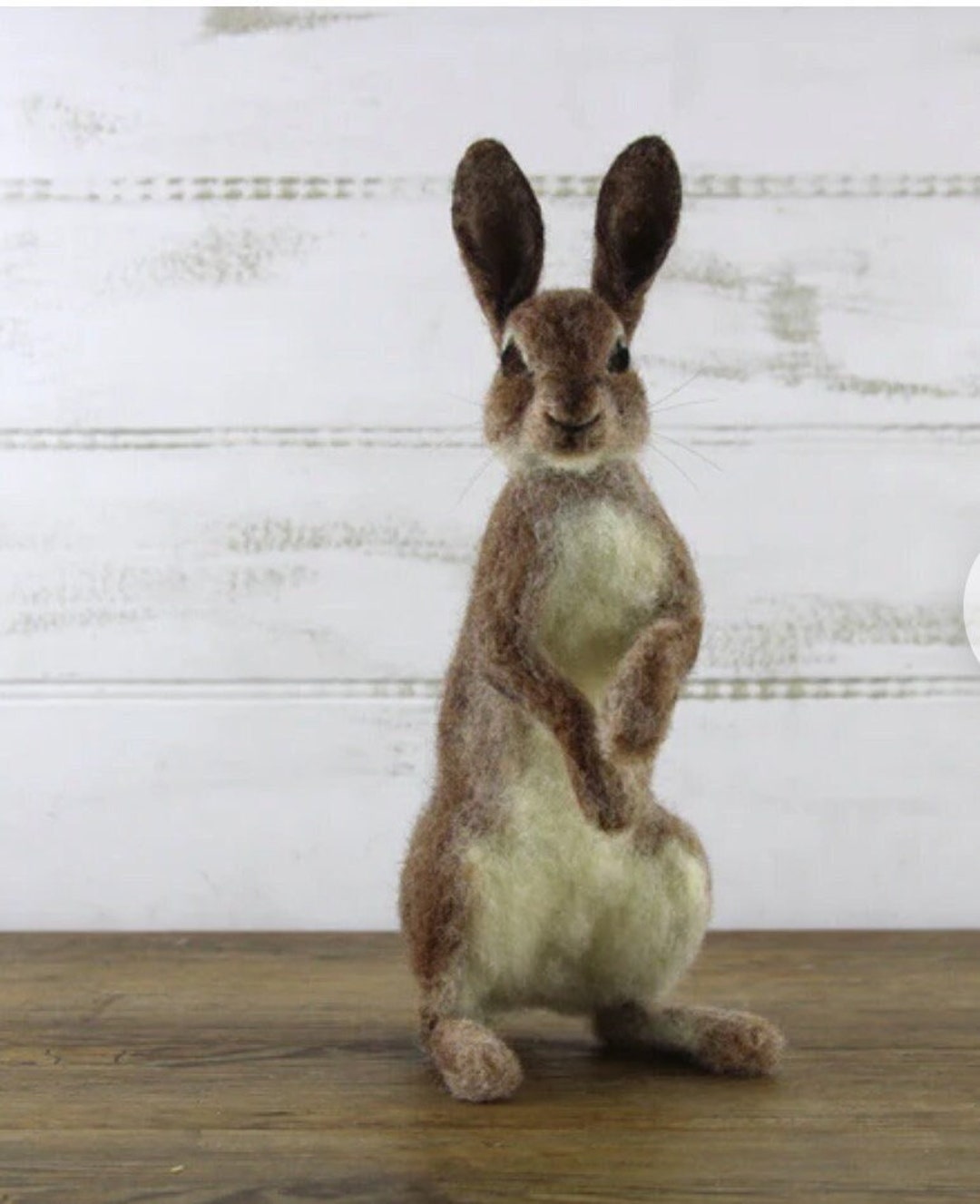 Romeo the Rabbit Needle Felting Kit FREE SHIPING - Etsy