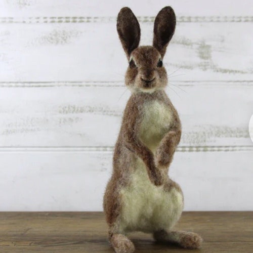 Romeo the Rabbit Needle Felting Kit FREE SHIPING - Etsy