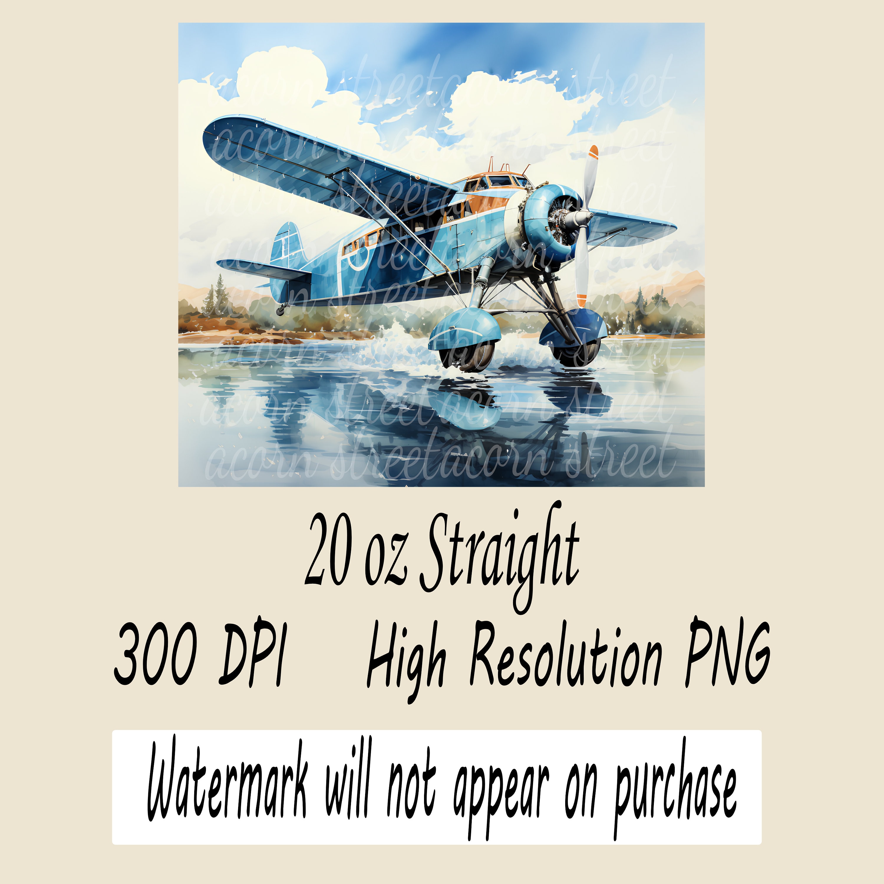 Airplane Small Water Plane 2 Sublimation Template Instant - Etsy