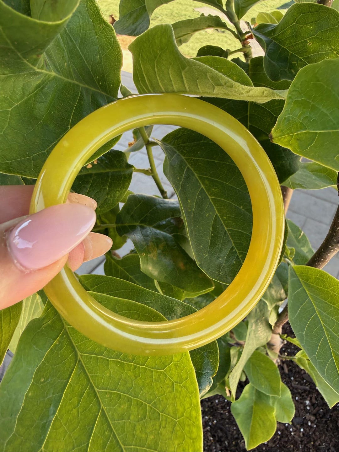 Yellow Dragon Jade Hard Bangle 64mm - Etsy