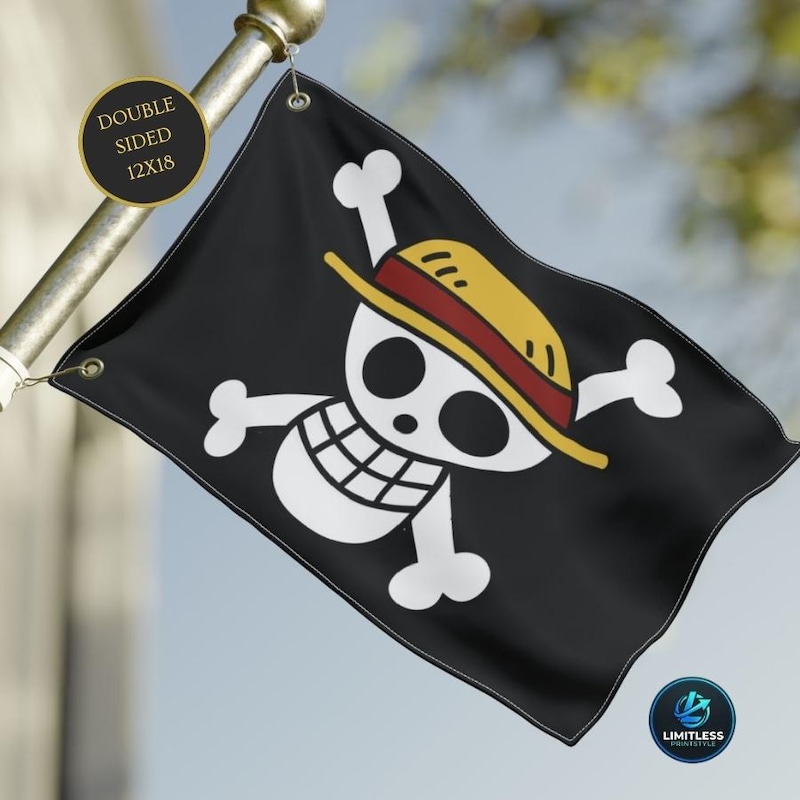 Double Sided Pirate Flags - Etsy