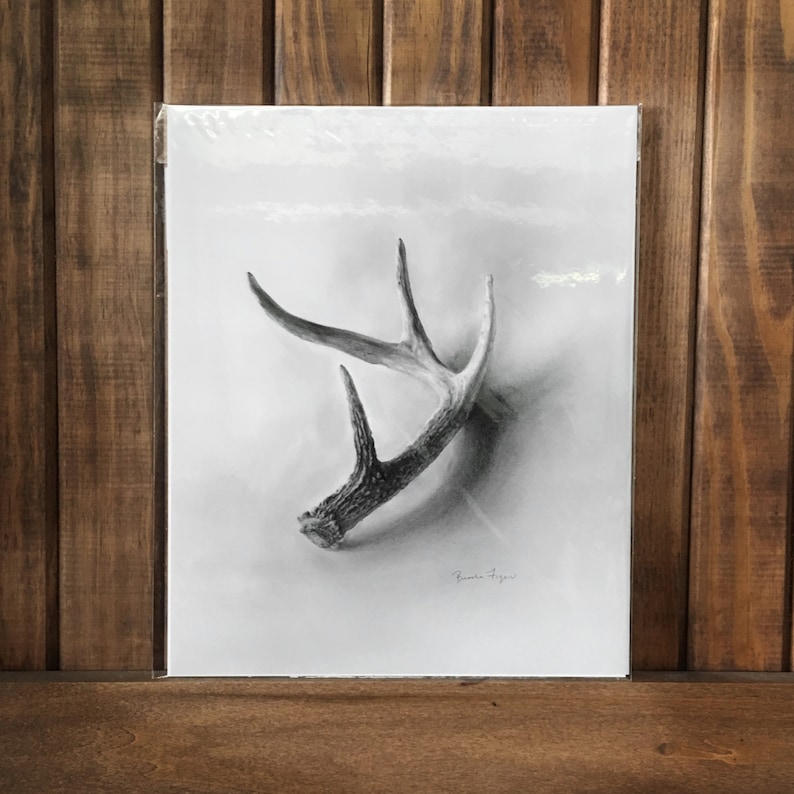 Deer Antler Graphite Drawing Giclee Print - Etsy