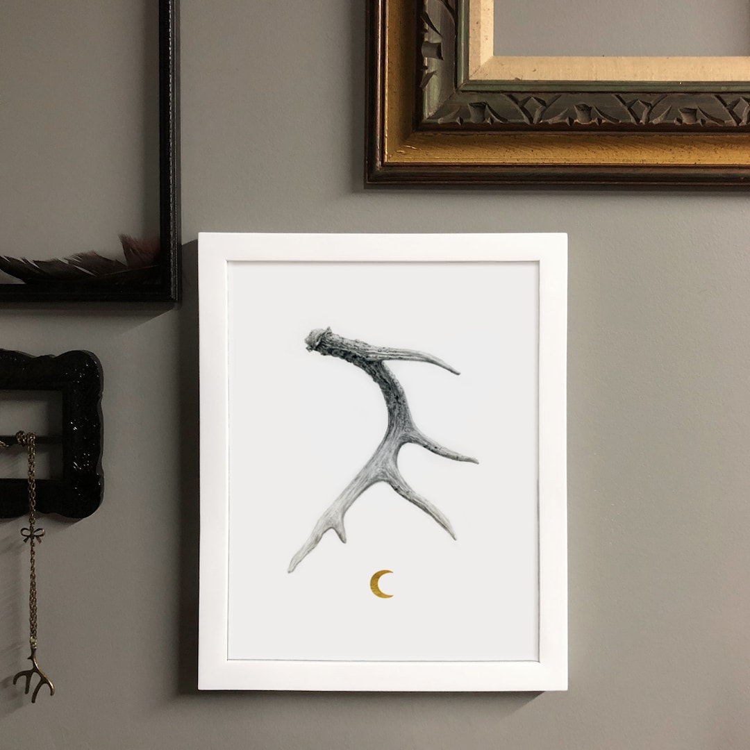 Deer Antler Graphite Drawing With 24kt Gold Leaf Crescent Moon in White ...