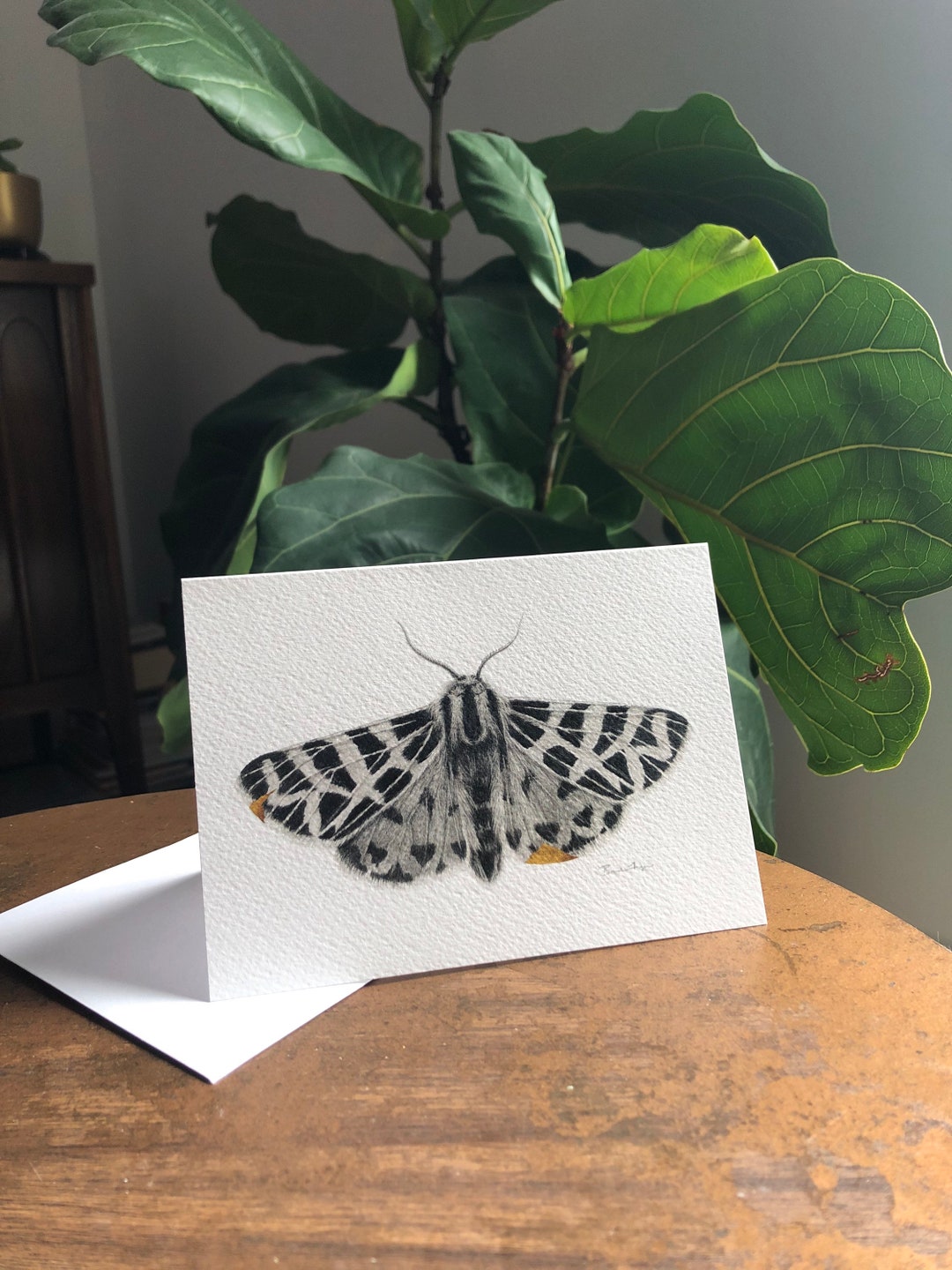 Kintsugi Moth Greeting Cards 3 @ 5 X 7" - Etsy