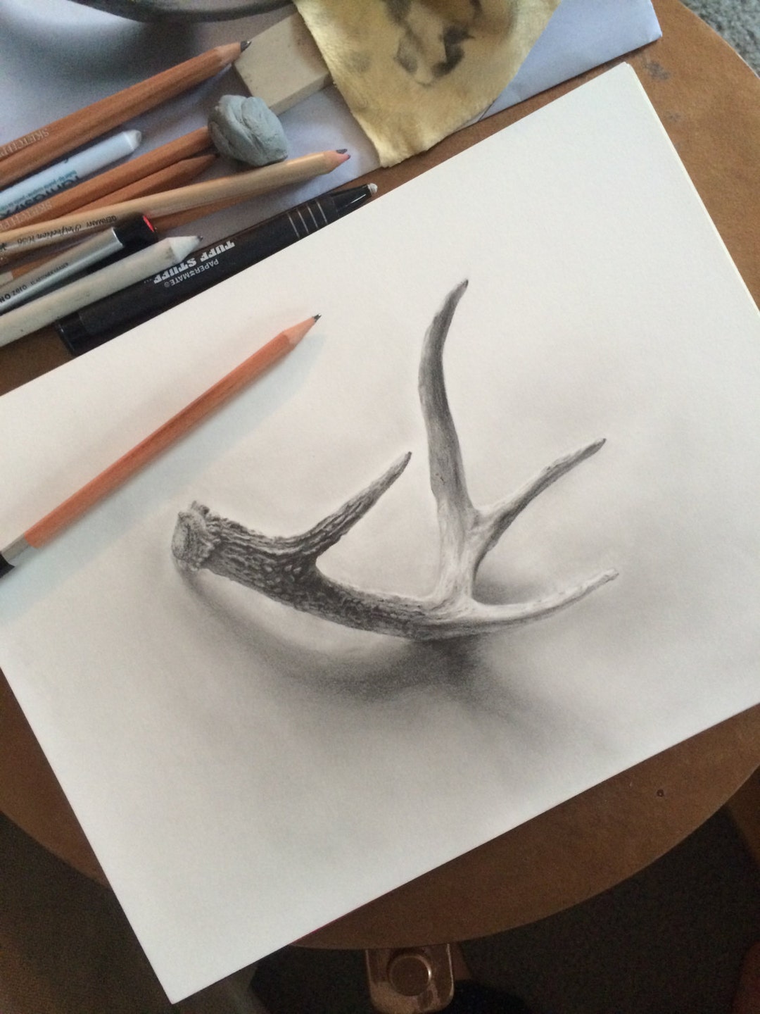 Deer Antler Graphite Drawing Giclee Print - Etsy