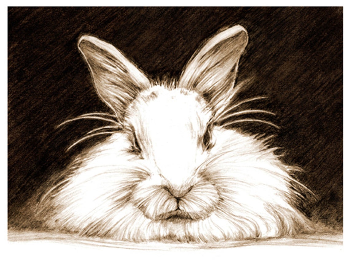 Art Pencil Sketch Rabbit Art Rabbit Sketch Bunny Pencil - Etsy