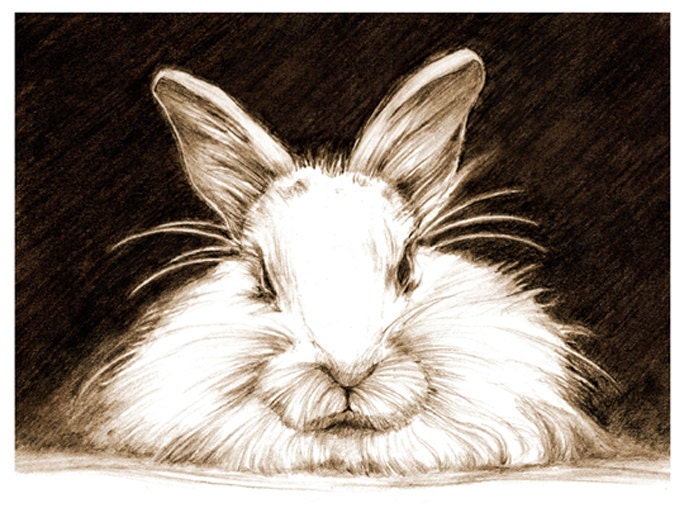 Art Pencil Sketch Rabbit Art Rabbit Sketch Bunny Pencil - Etsy