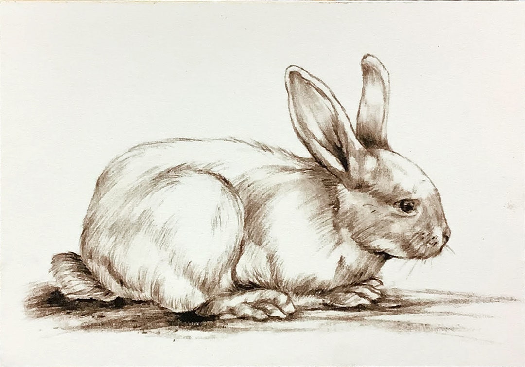 Rabbit Scetch, Print of Original Scetch, Rabbit Art Print on Panel, 5x7 ...