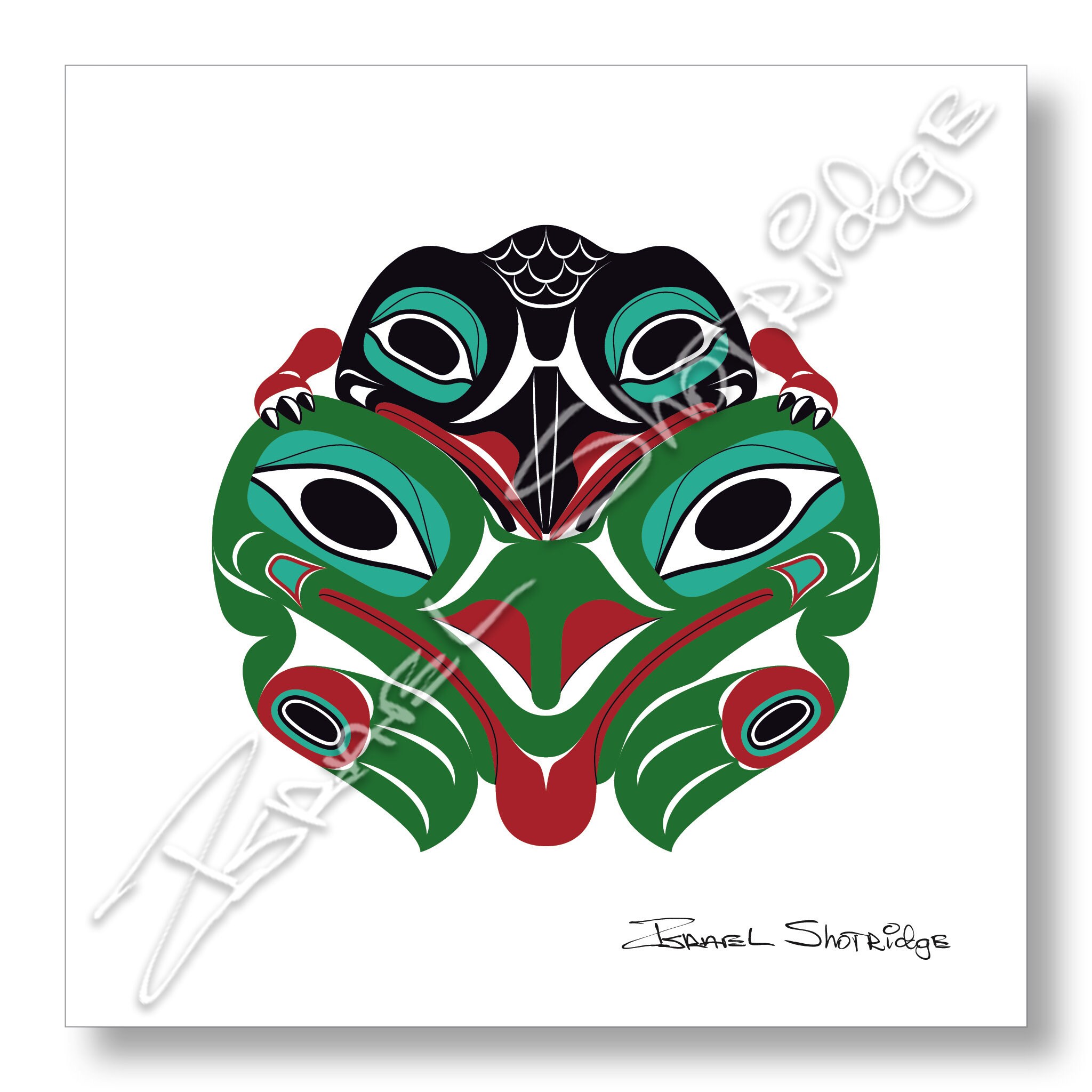 Native American Art Raven