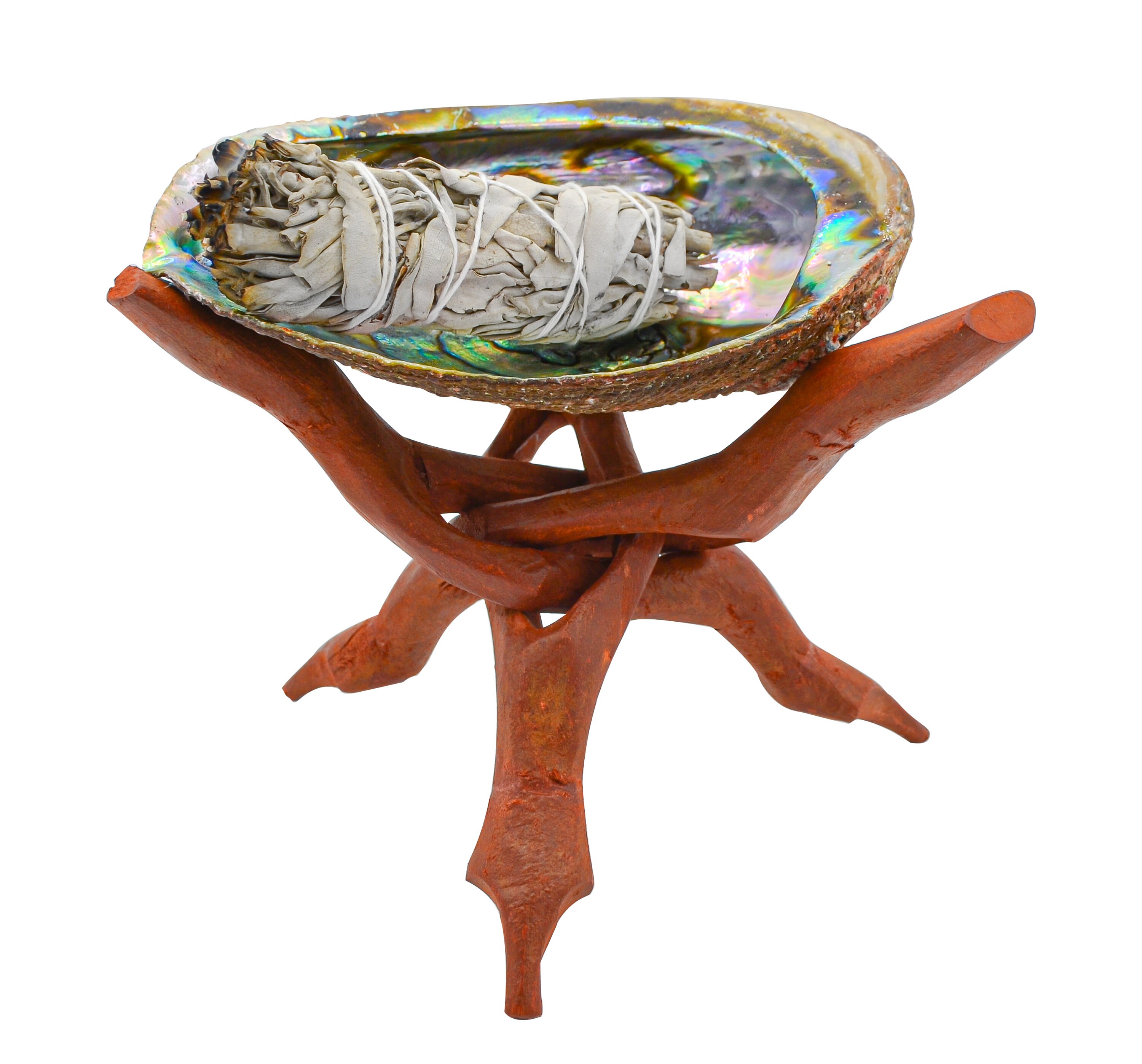 Abalone Shell - Etsy