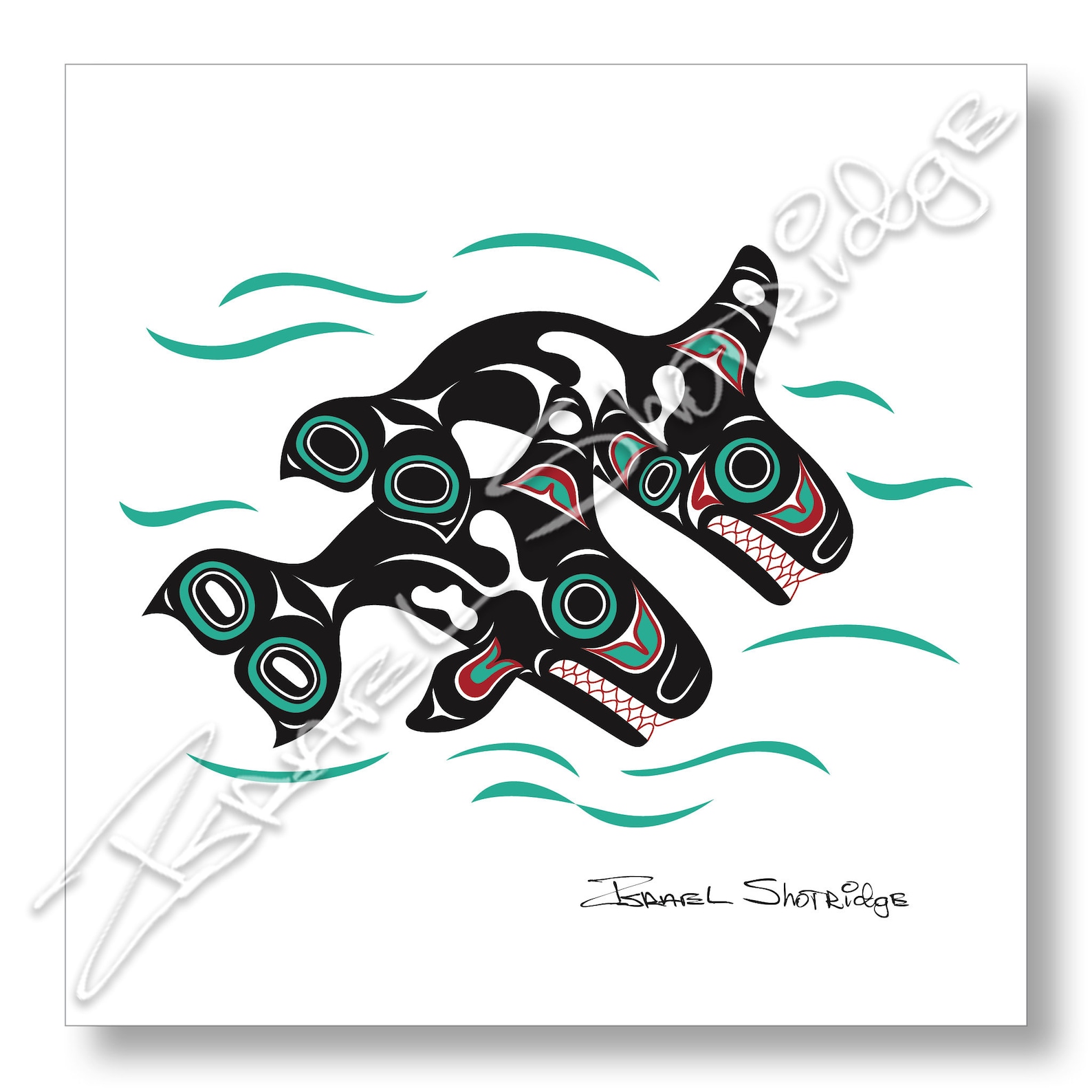 Orcas XL Limited Edition Giclée Art Print unframed / Tlingit - Etsy