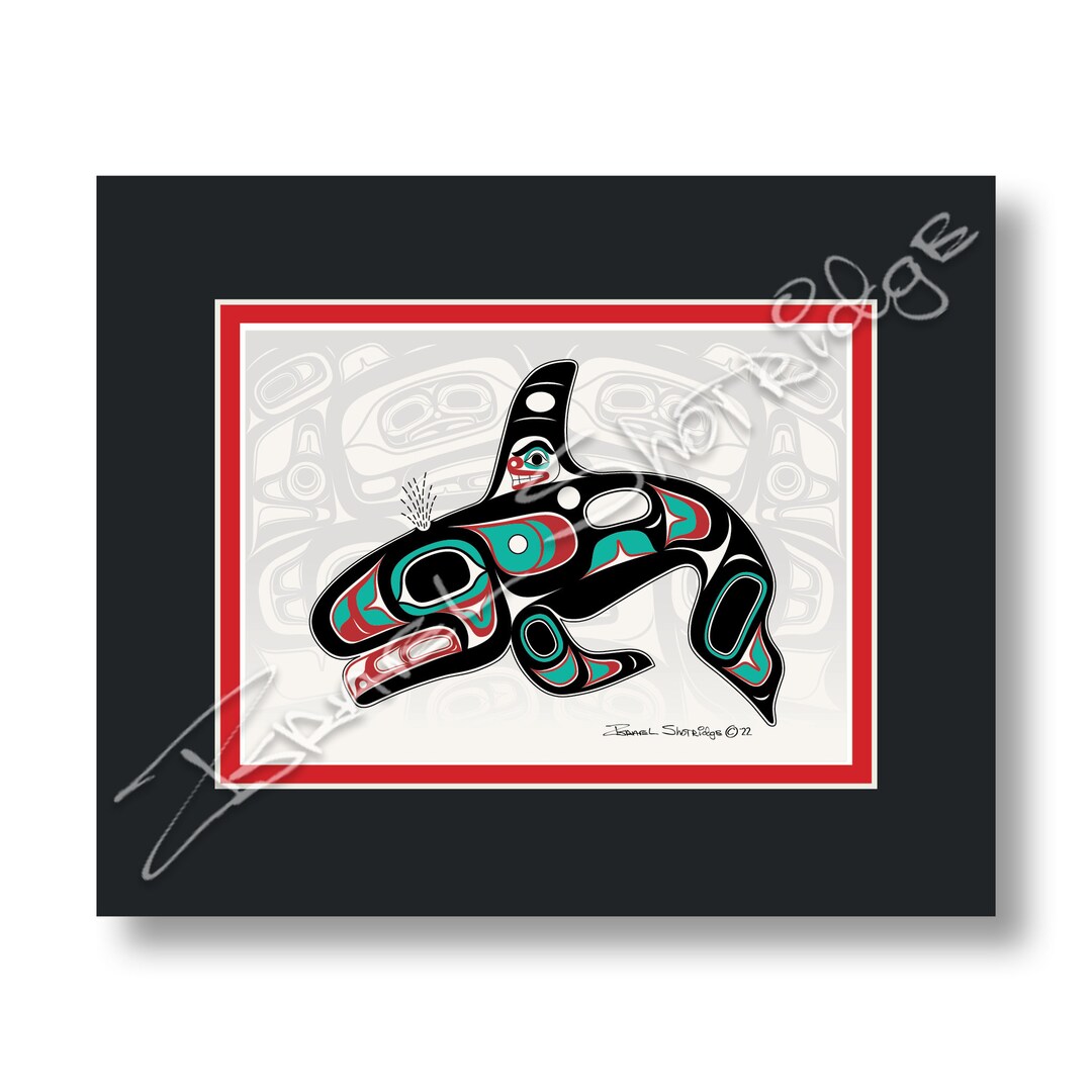 Killer Whale & Screen / 10" X 8" Matted Art Card / Tlingit Northwest ...