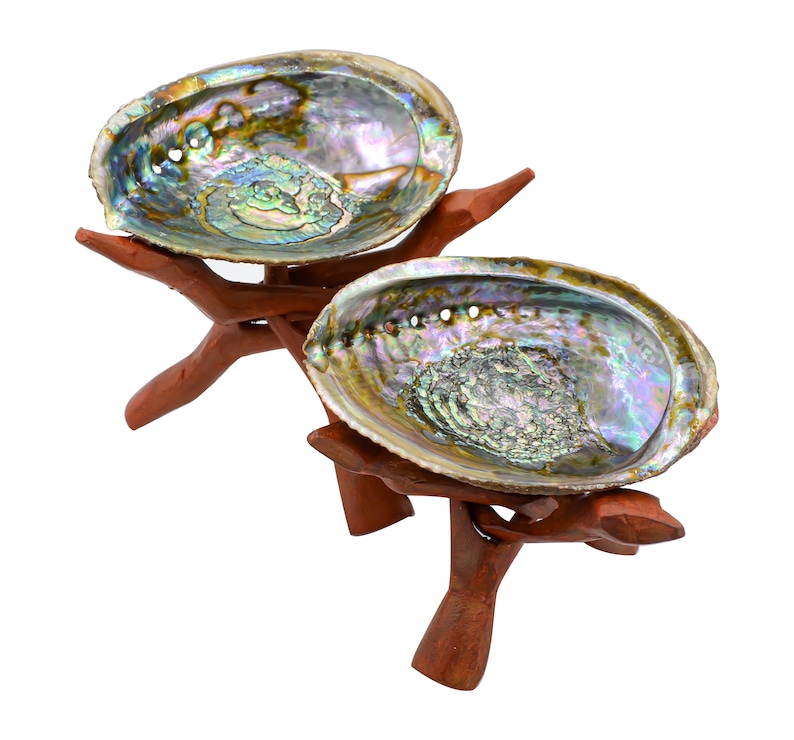 Large Abalone Shell & Folding Carved Wooden Stand Combo - Etsy