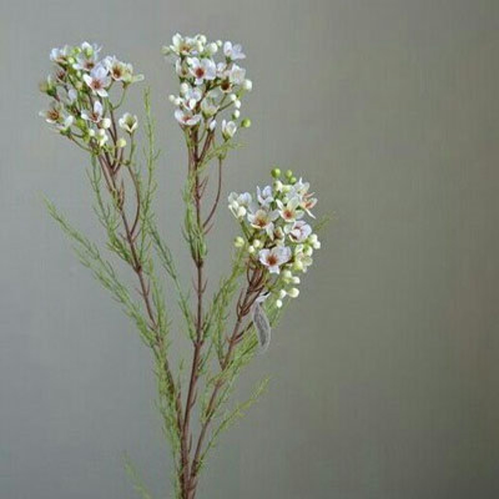 Artificial Rustic Wax Flowers Bunch Stalks Faux Flowers Wax - Etsy