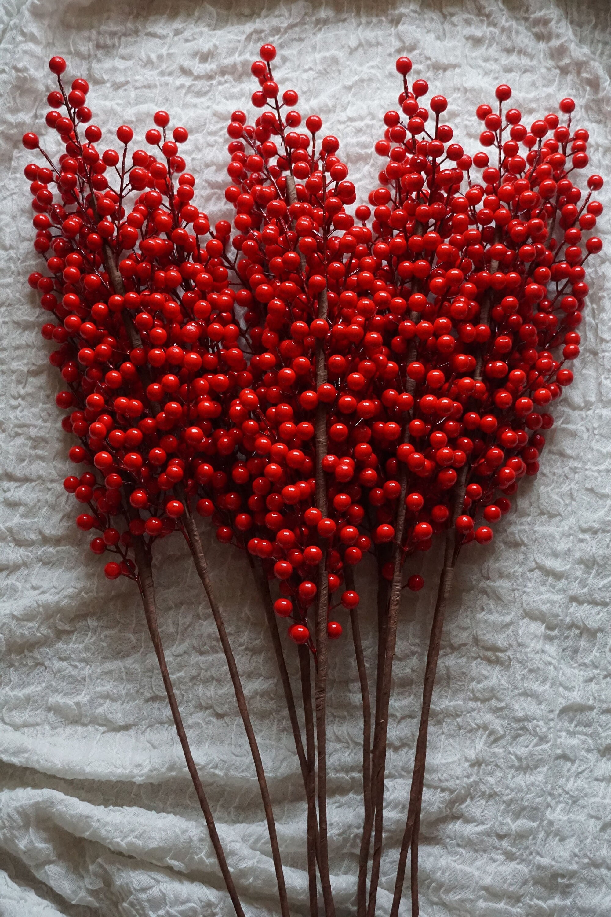 Christmas Red Berries Stalk With Twelve Branches-christmas Berries ...