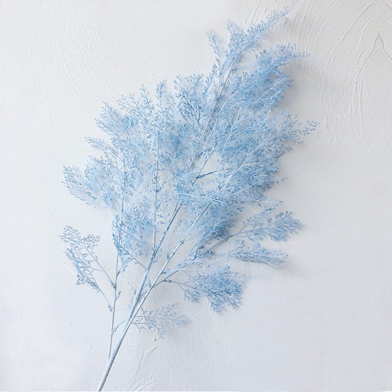 Misty Blue Flower Plant Primer: Velocity Blue Salvia