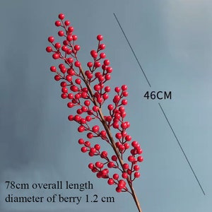 Christmas Red Berries Stalk With Twelve Branches-christmas Berries ...