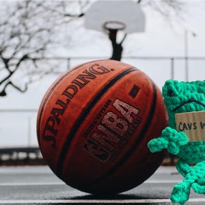 Victory Frog, Plush Frog, Cleveland Cavs Frog, Frog Mascot, Frog Plush ...