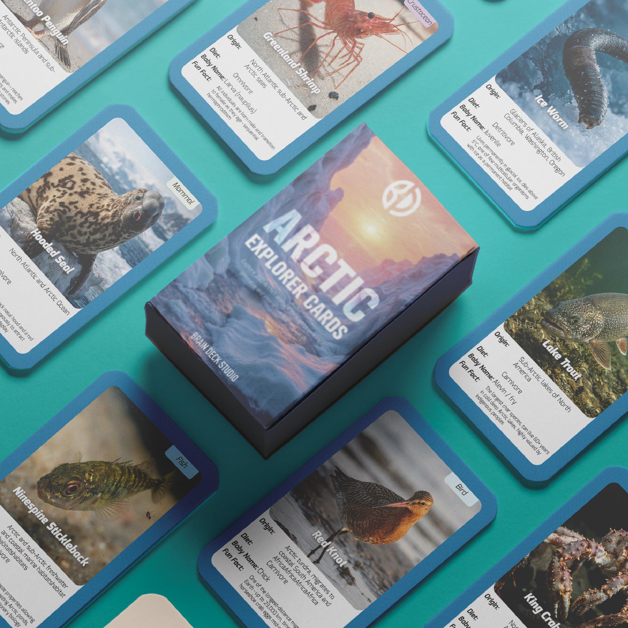 200 Ocean Animal Flash Cards | Printable & Goodnotes | Marine Life ...
