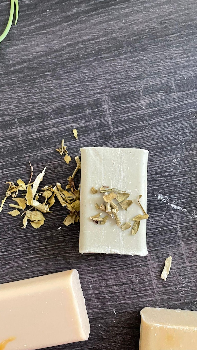 Rue Spiritual Soap | Ruda | Botanical Ritual Bar | 90g Handmade Curio ...